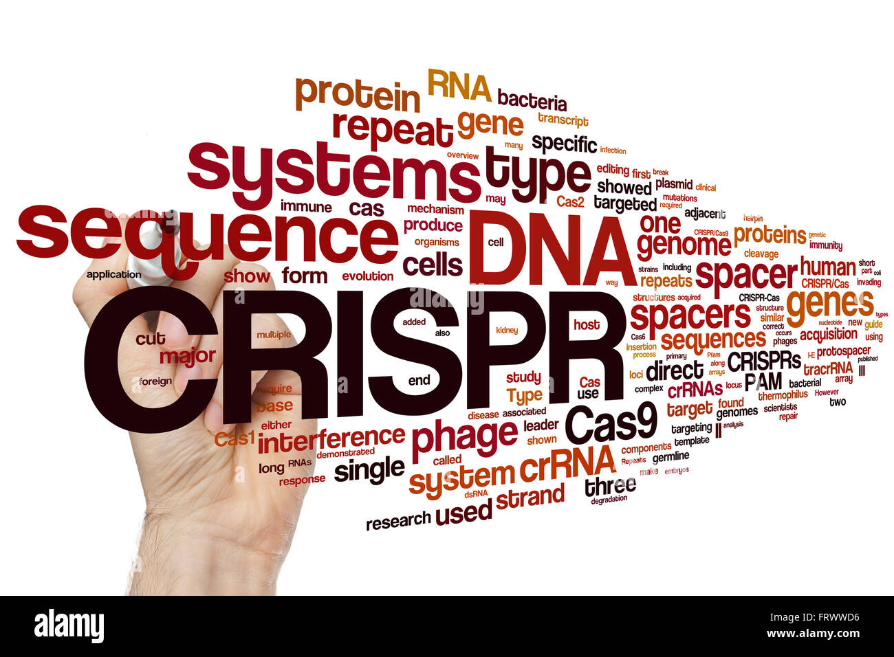 Hand writing CRISPR/Cas9 system for editing, regulating and targeting ...