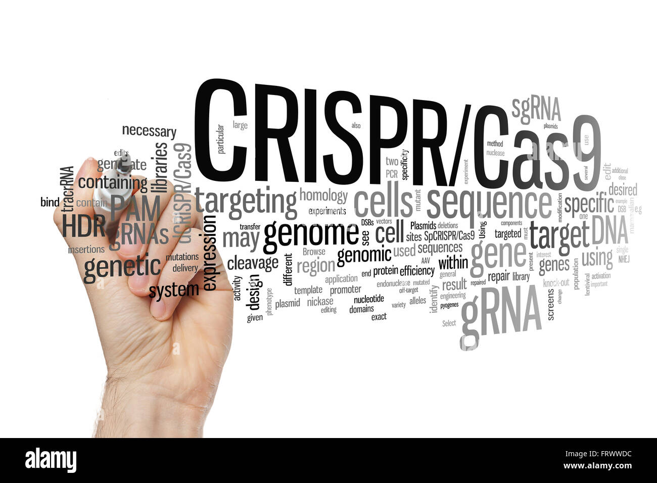 Hand writing CRISPR/Cas9 system for editing, regulating and targeting ...