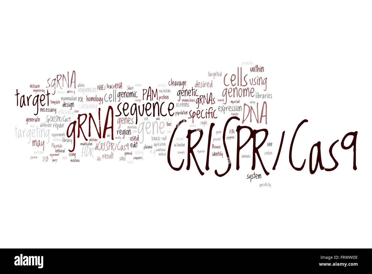 CRISPR/Cas9 system for editing, regulating and targeting genomes ...