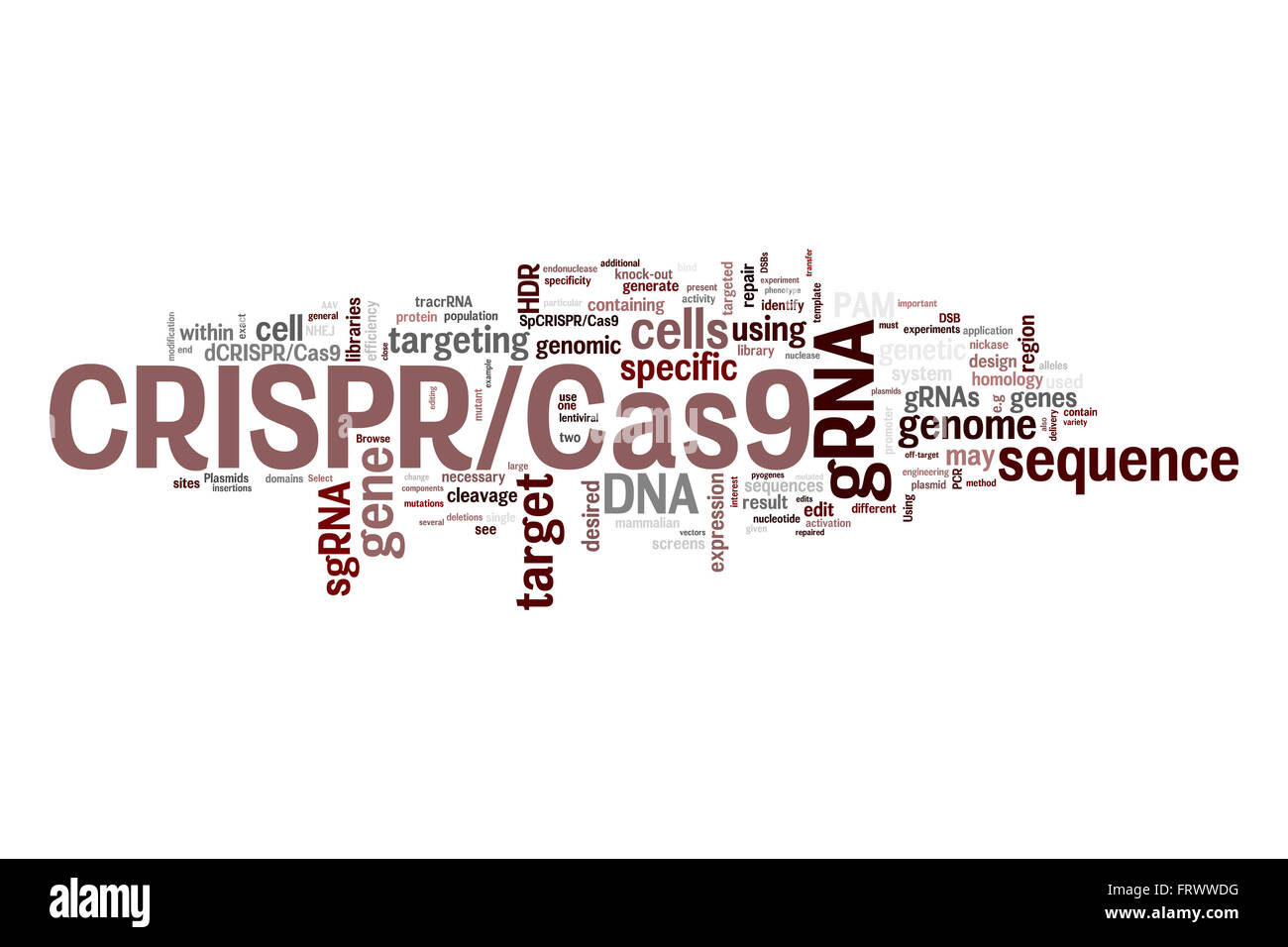 Crispr cas9 dna Cut Out Stock Images & Pictures - Alamy