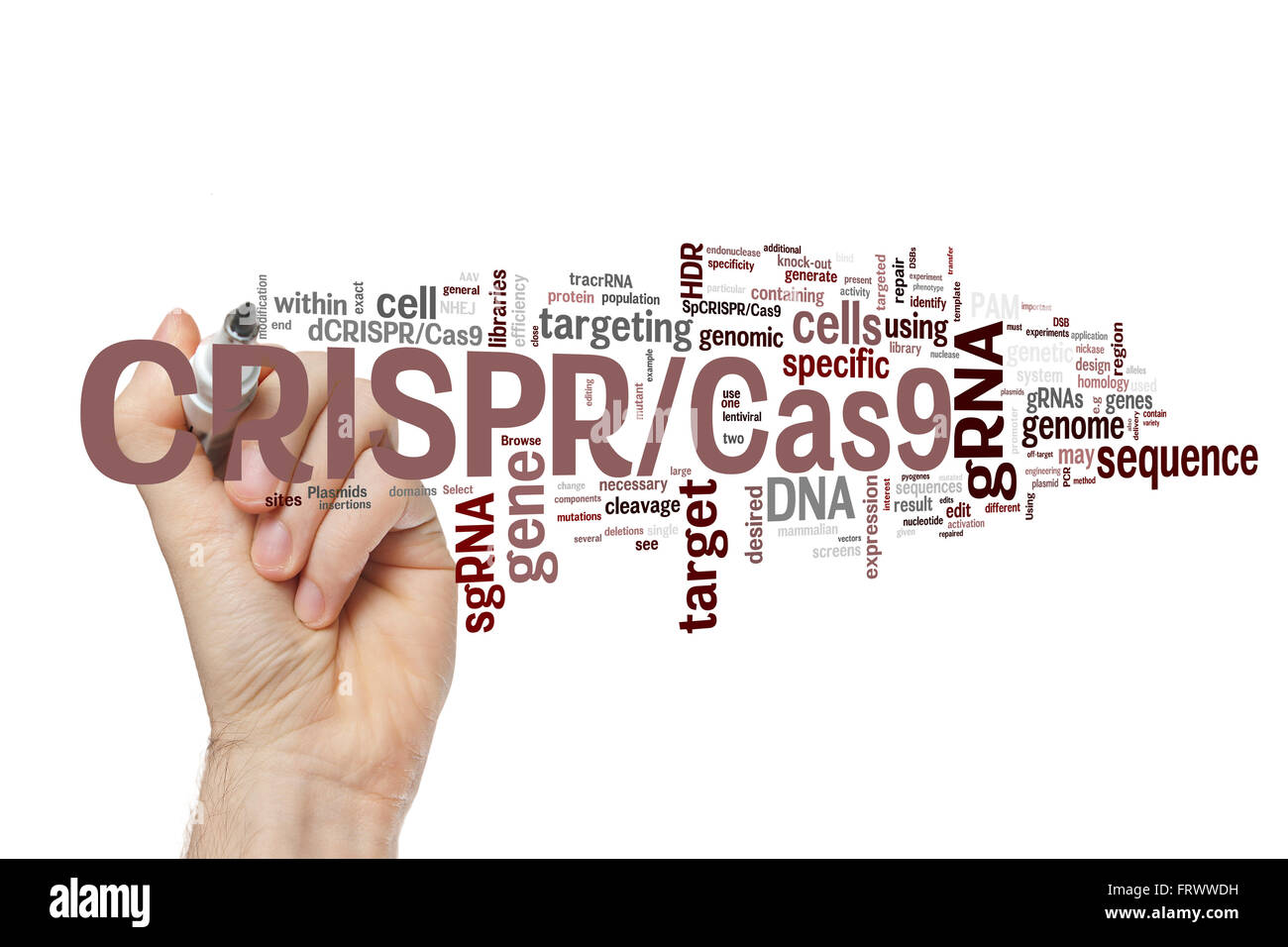 Hand writing CRISPR/Cas9 system for editing, regulating and targeting ...