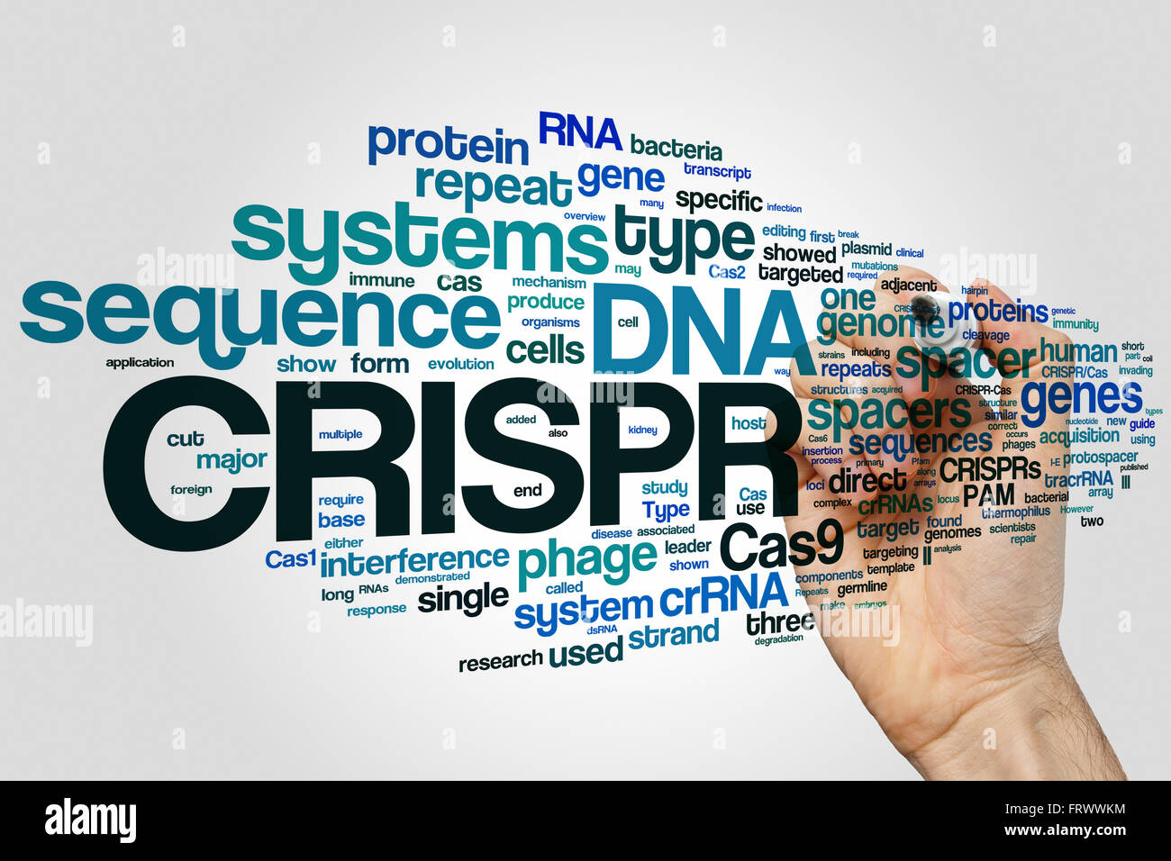 CRISPR/Cas9 system for editing, regulating and targeting genomes ...