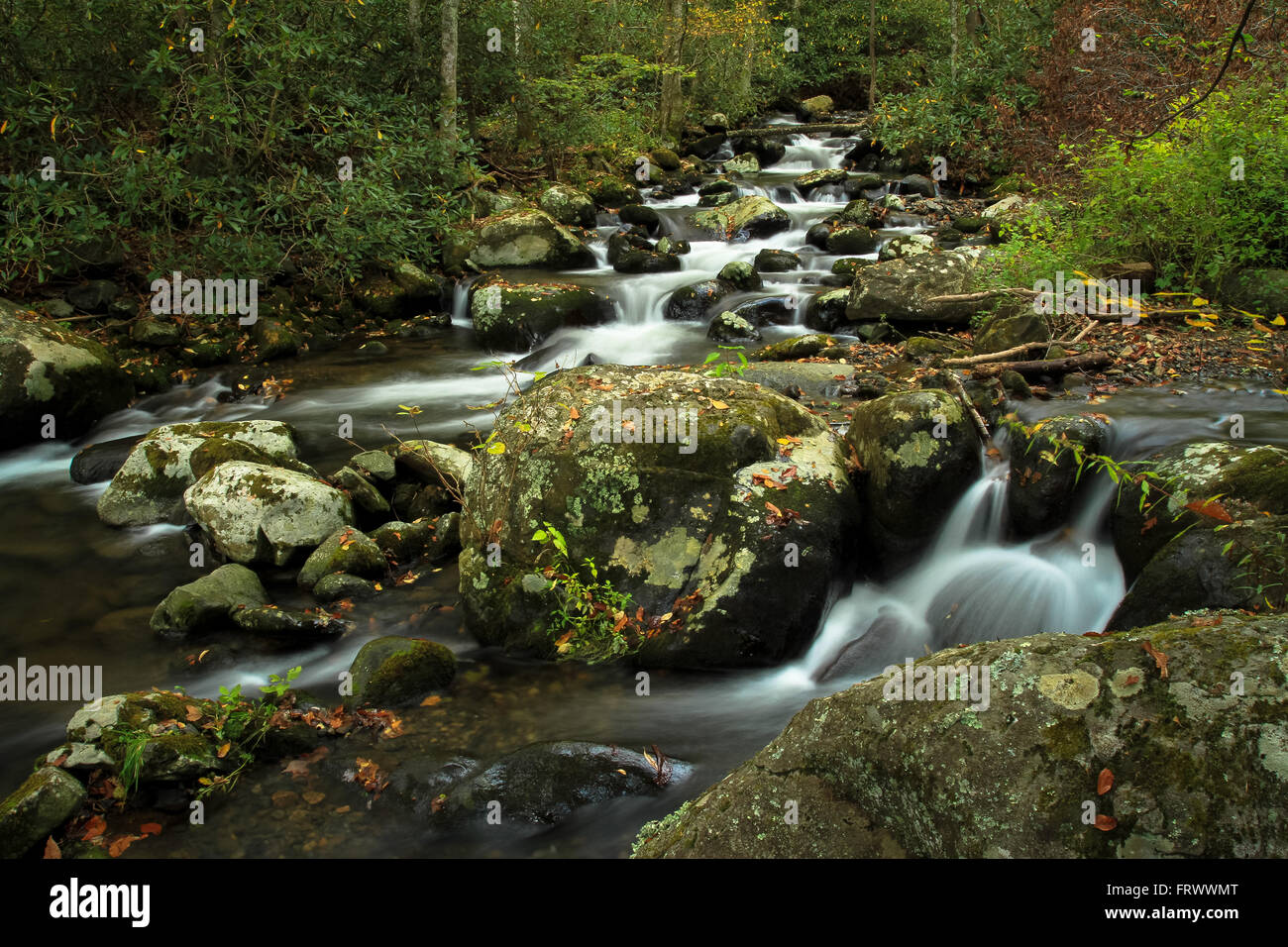 Appalachian trail at camping hi-res stock photography and images - Alamy