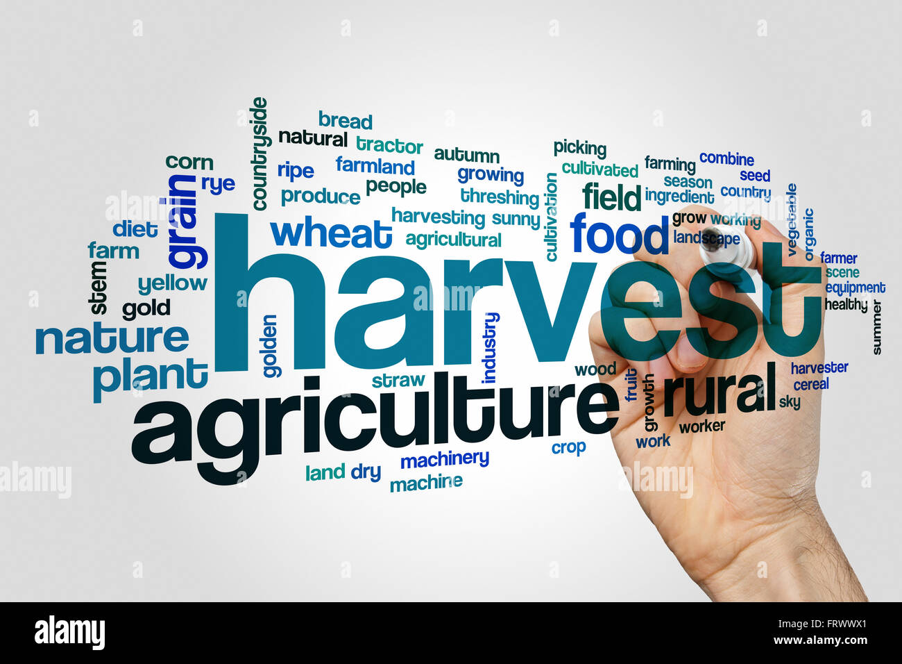 Harvest word cloud Stock Photo - Alamy