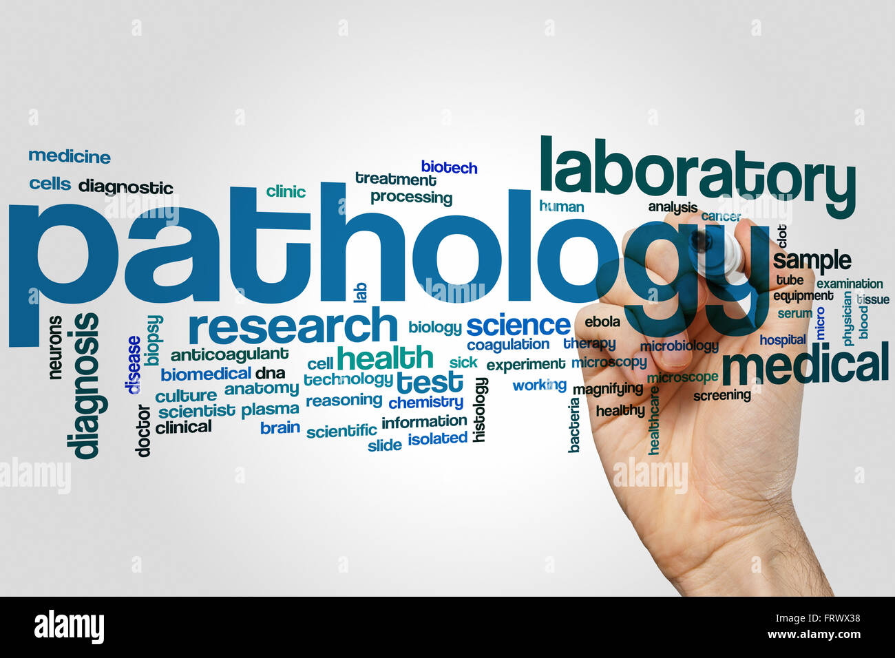 Pathology word cloud concept Stock Photo - Alamy
