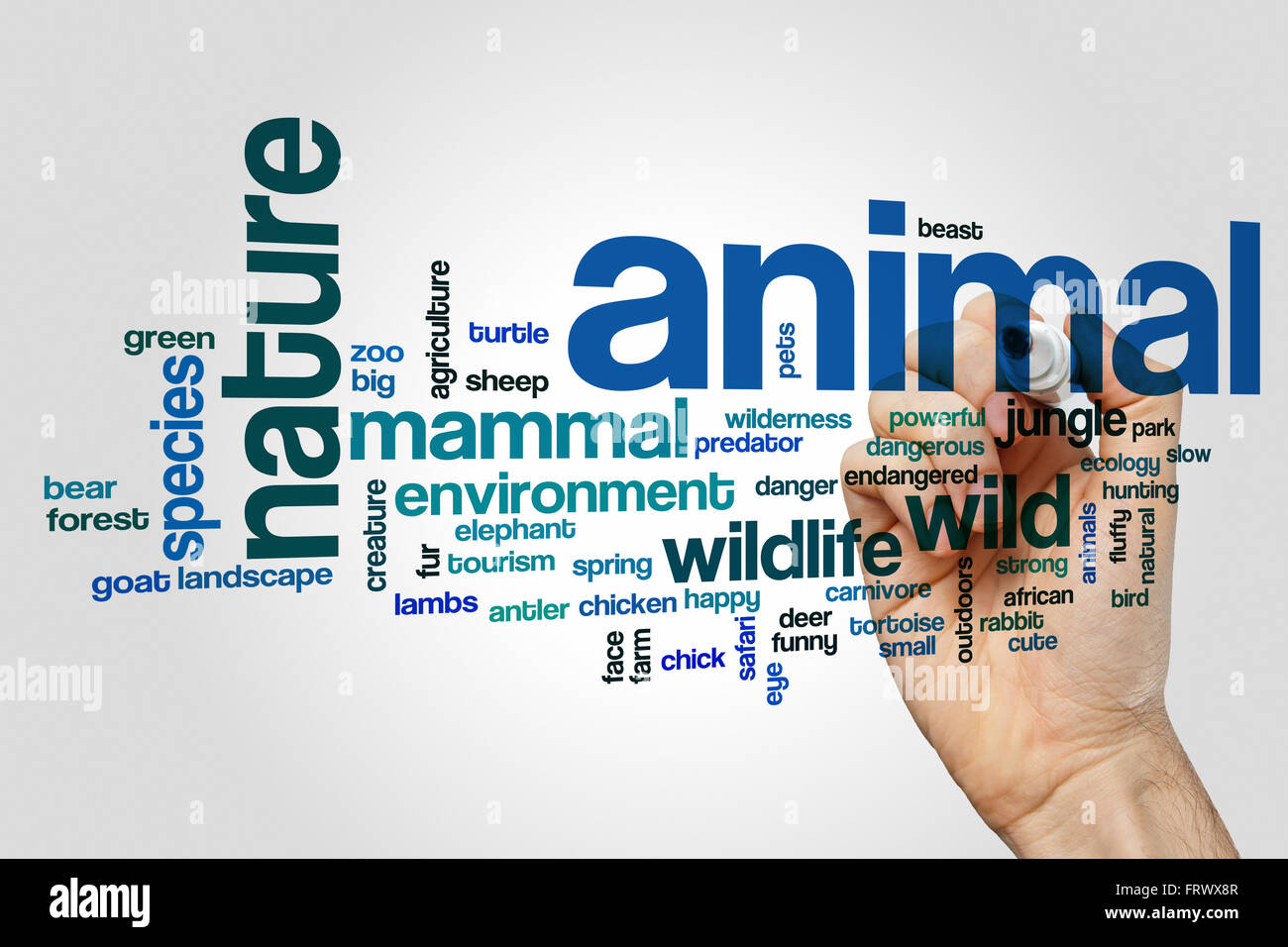 Animal word cloud Stock Photo - Alamy