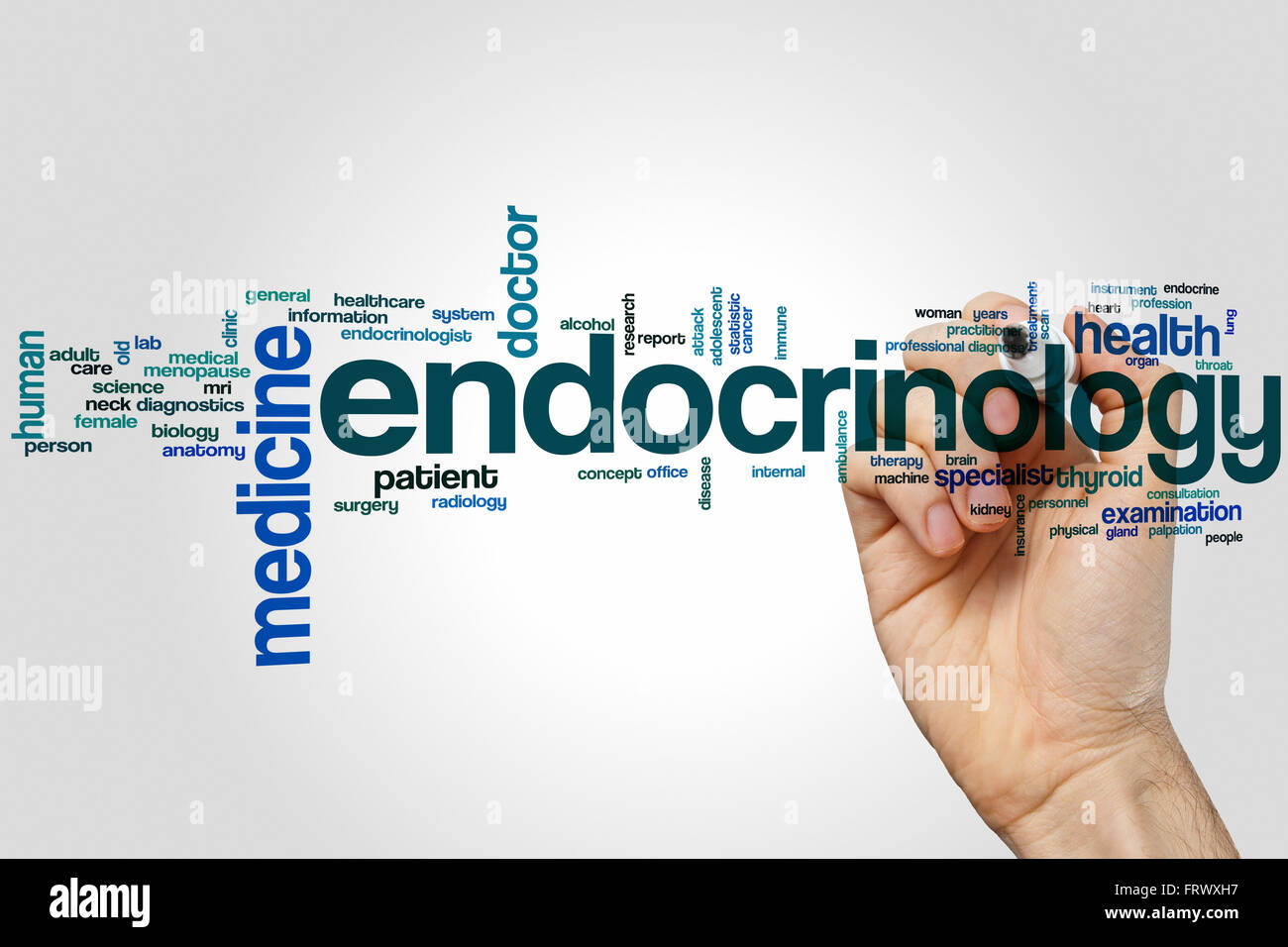Endocrinology hi-res stock photography and images - Alamy