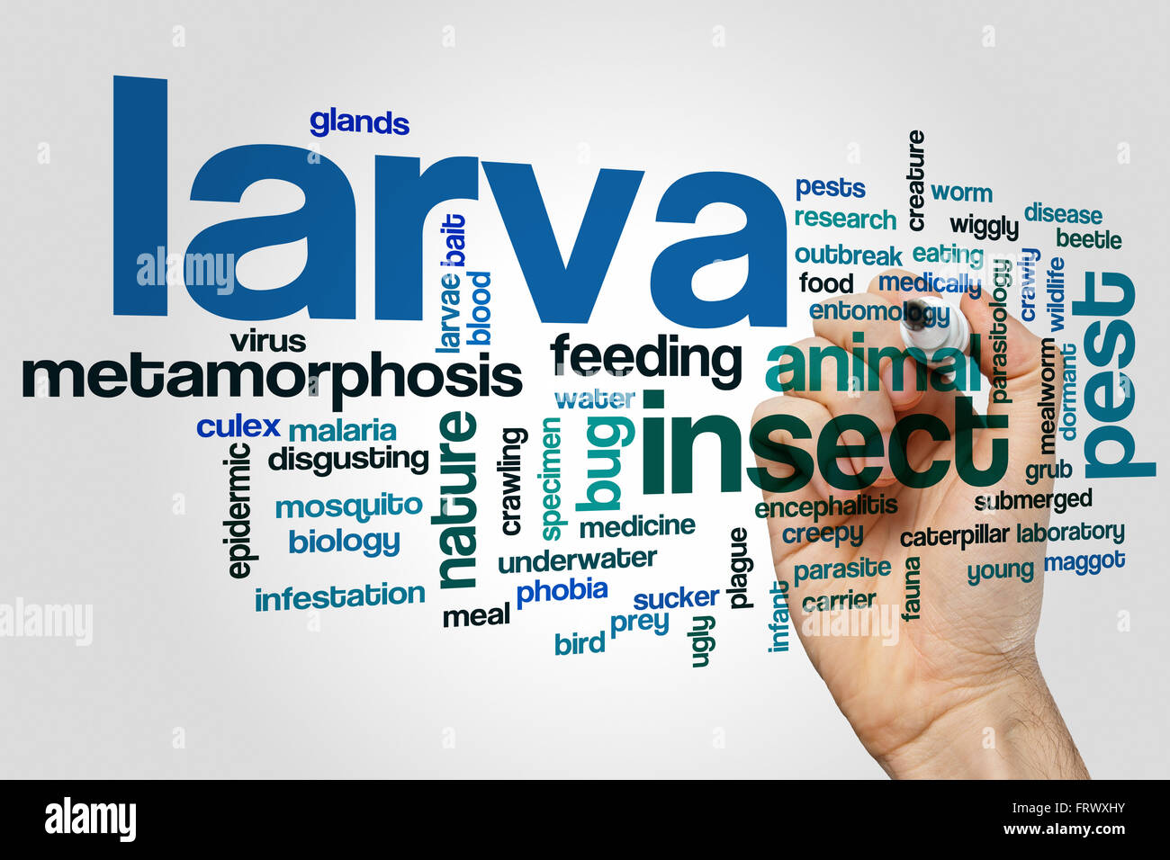 Larva word cloud concept Stock Photo - Alamy