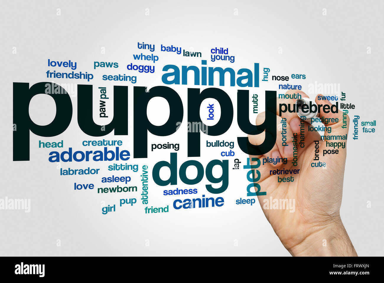 Puppy word cloud Stock Photo - Alamy