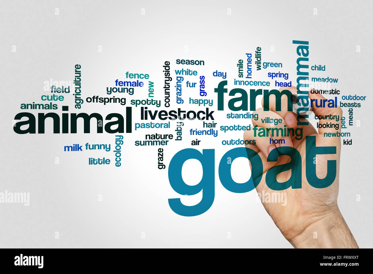 Goat word cloud Stock Photo - Alamy