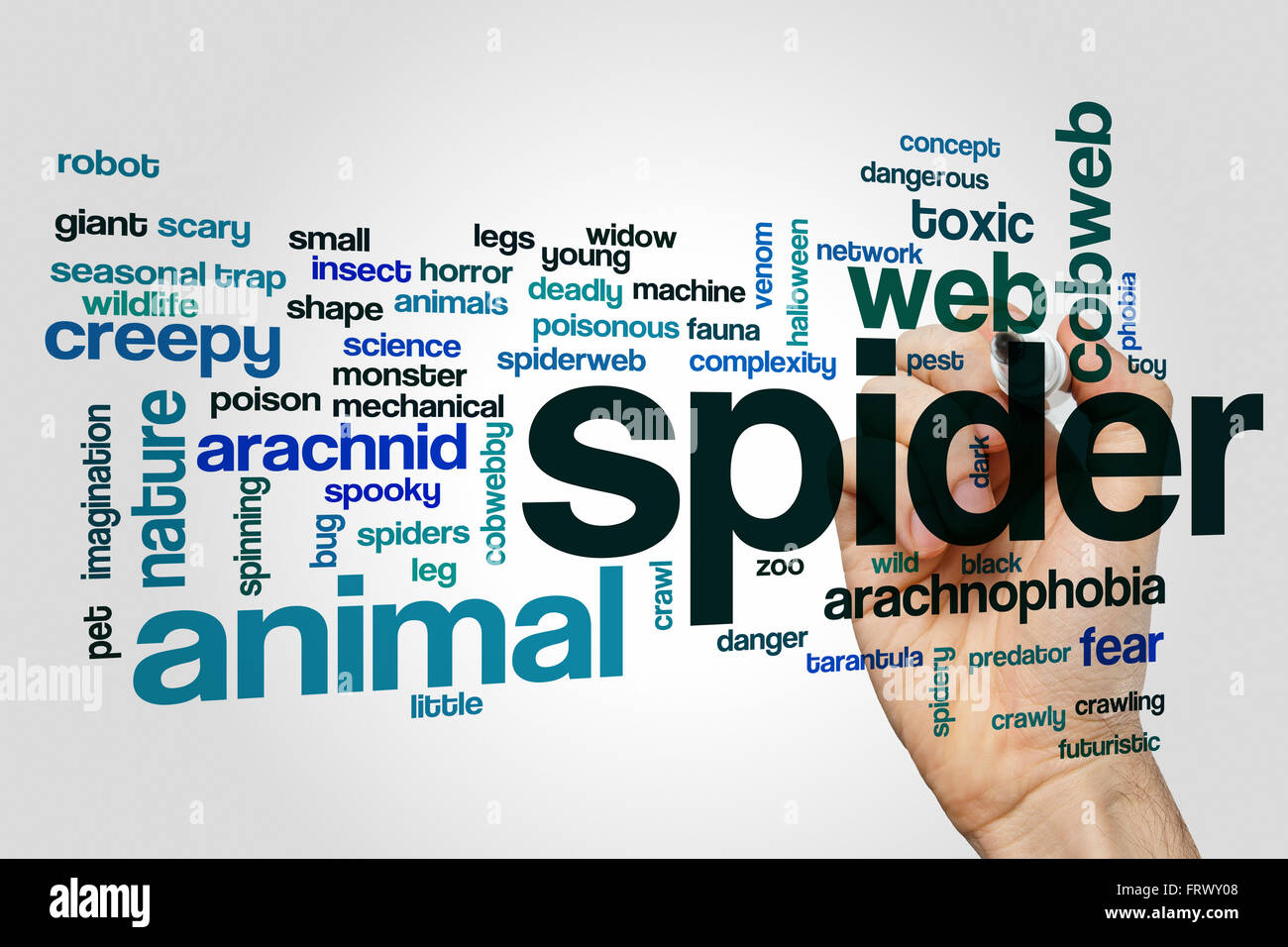 Spider word cloud concept Stock Photo - Alamy