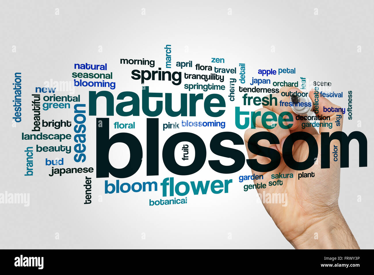 Blossom word cloud Stock Photo - Alamy