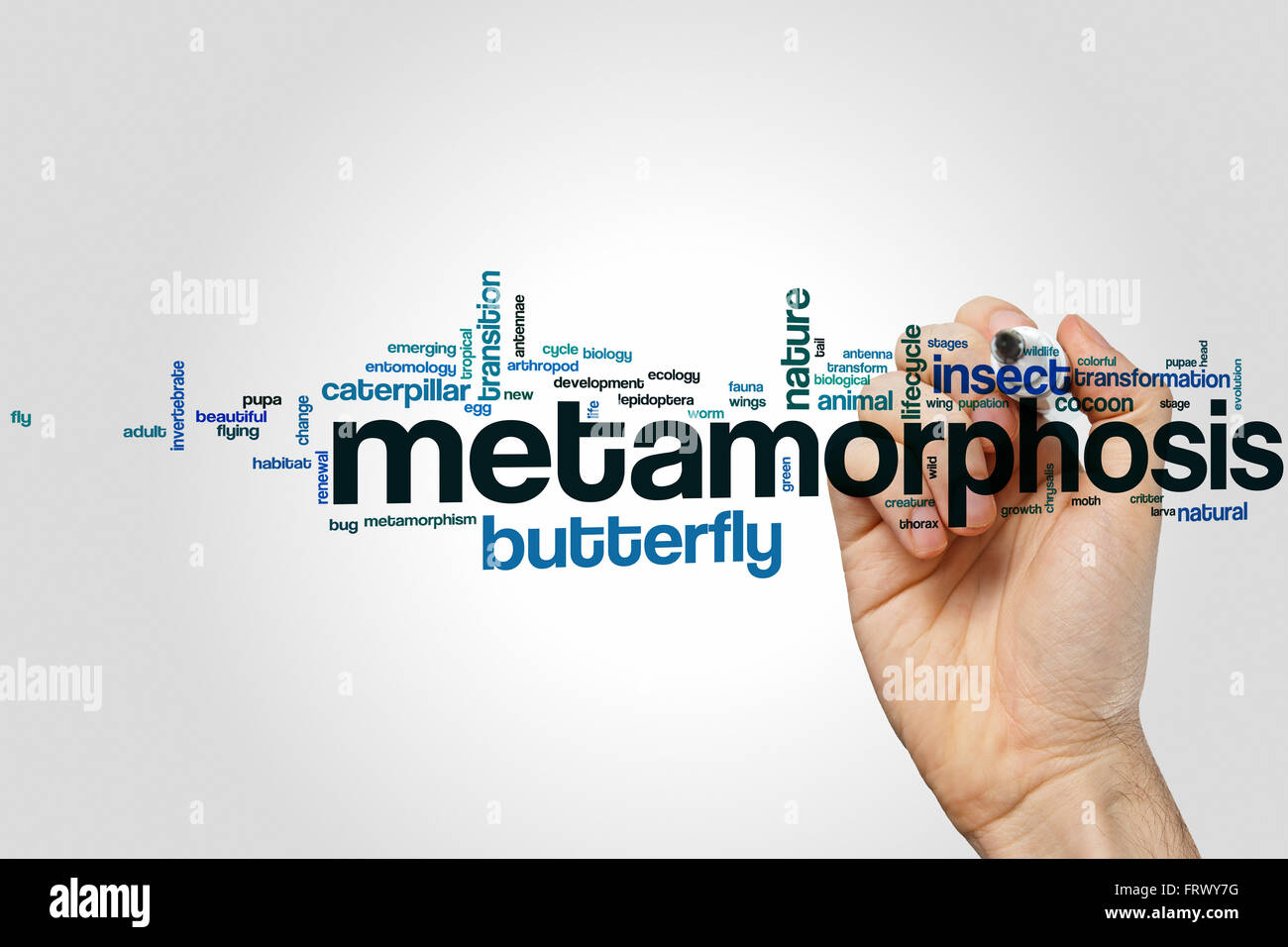 Metamorphosis word cloud concept Stock Photo - Alamy