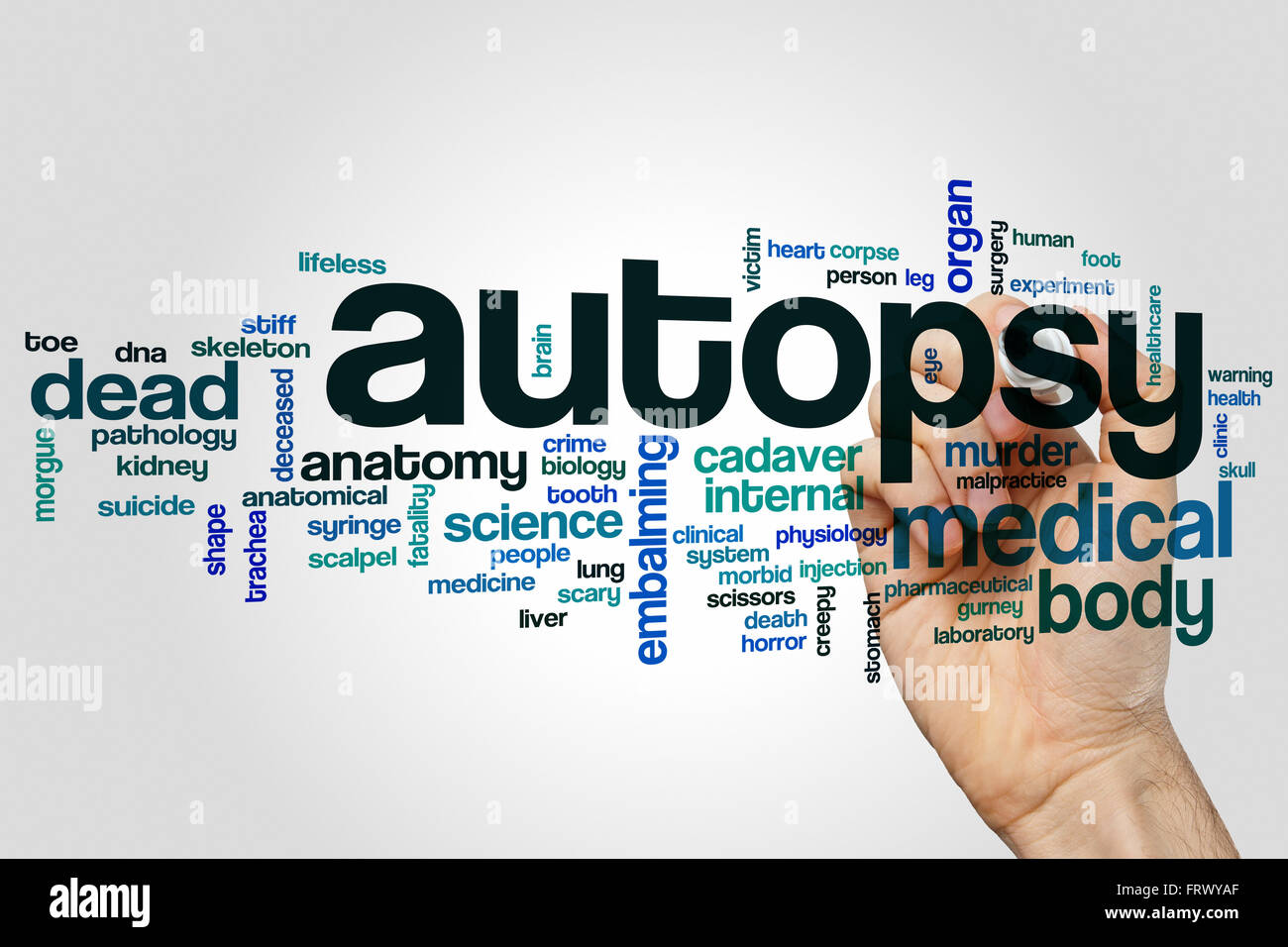 Autopsy brain hi-res stock photography and images - Alamy