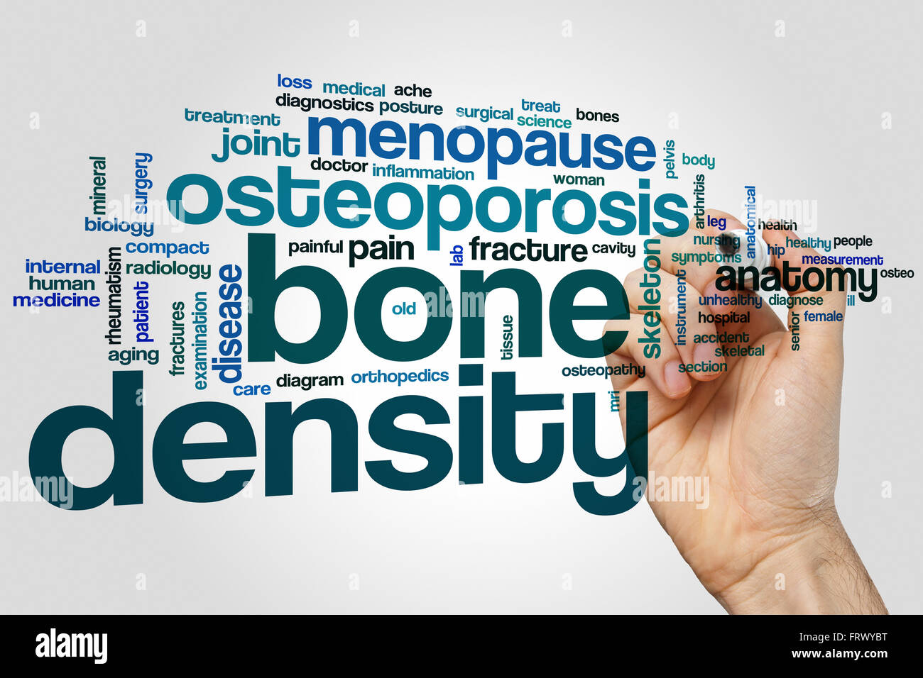 Bone density hi-res stock photography and images - Alamy