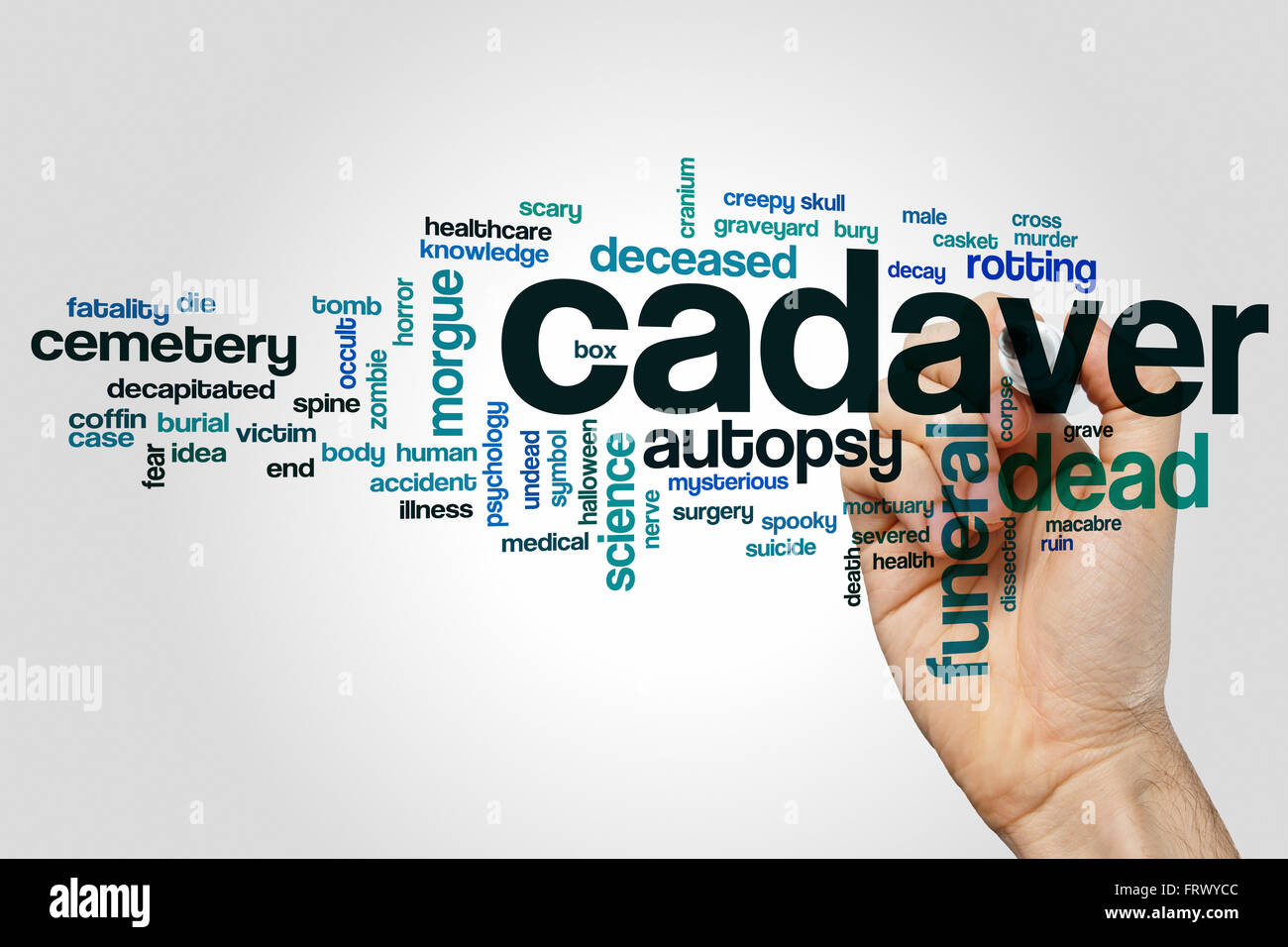 Cadaver human hi-res stock photography and images - Alamy