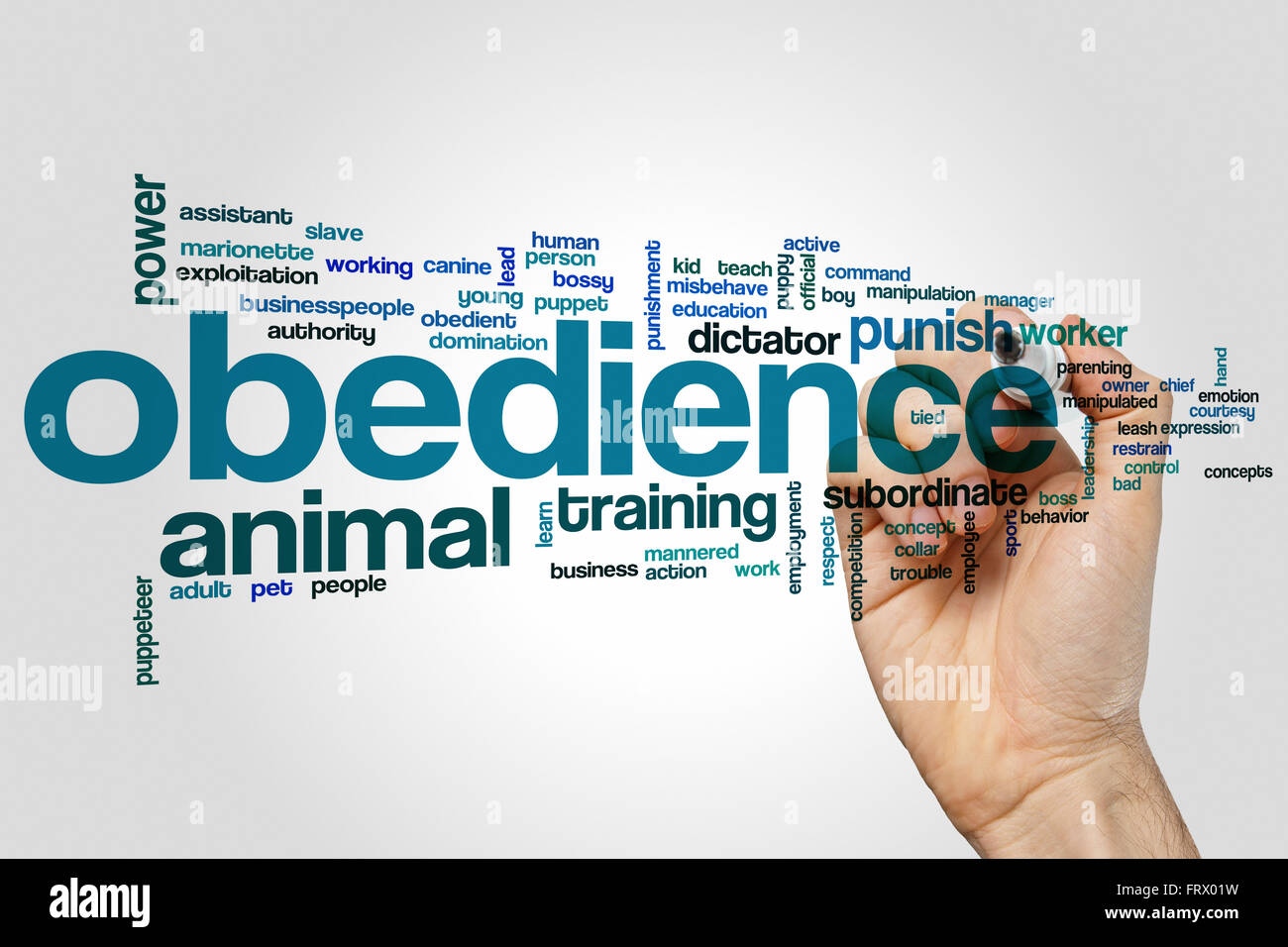 Human Obedience