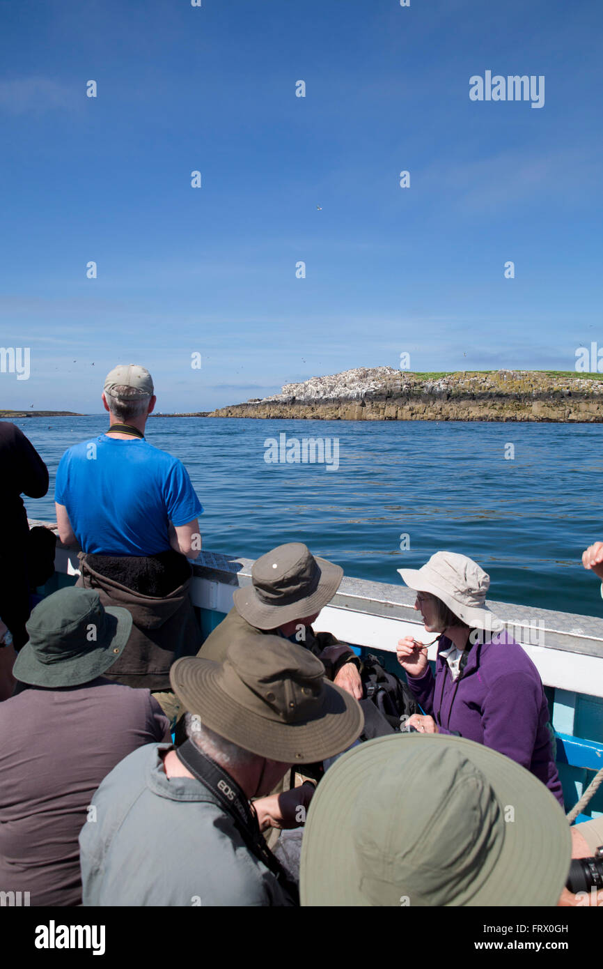 Inner Farne Boat Trip Farne Islands; UK Stock Photo - Alamy
