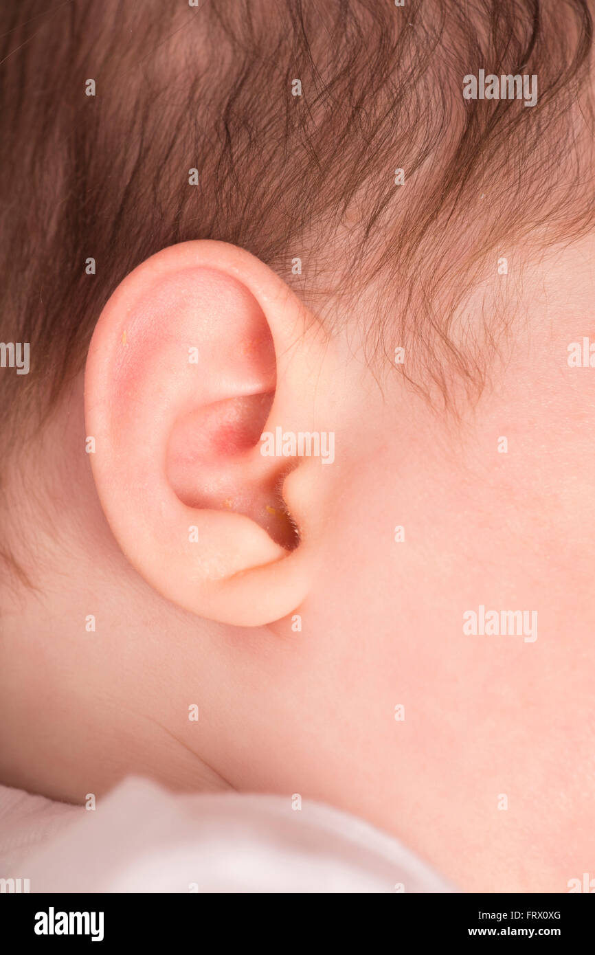 Abstract Ear High Resolution Stock Photography and Images - Alamy