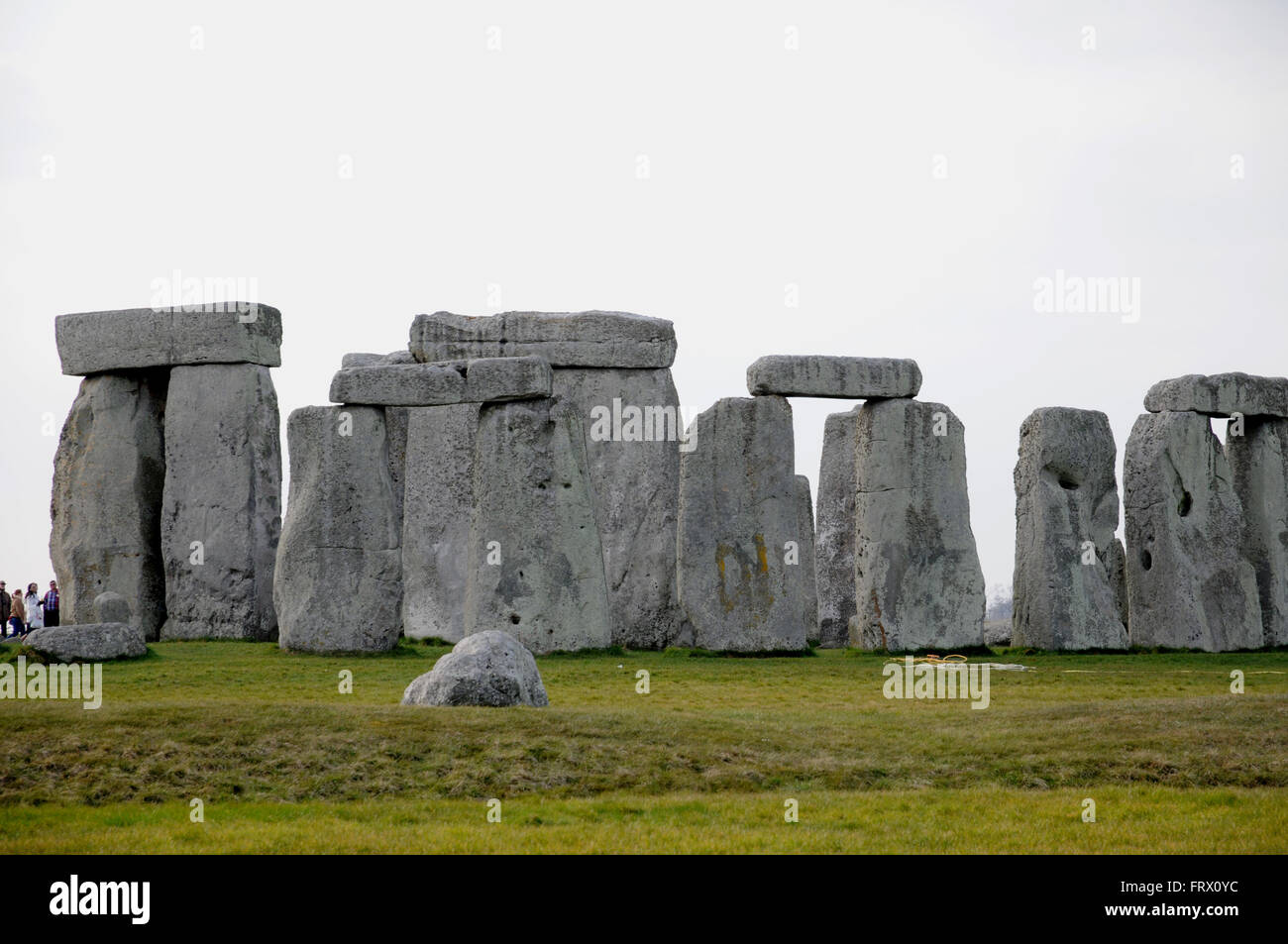 Symbol of english heritage hi-res stock photography and images - Alamy
