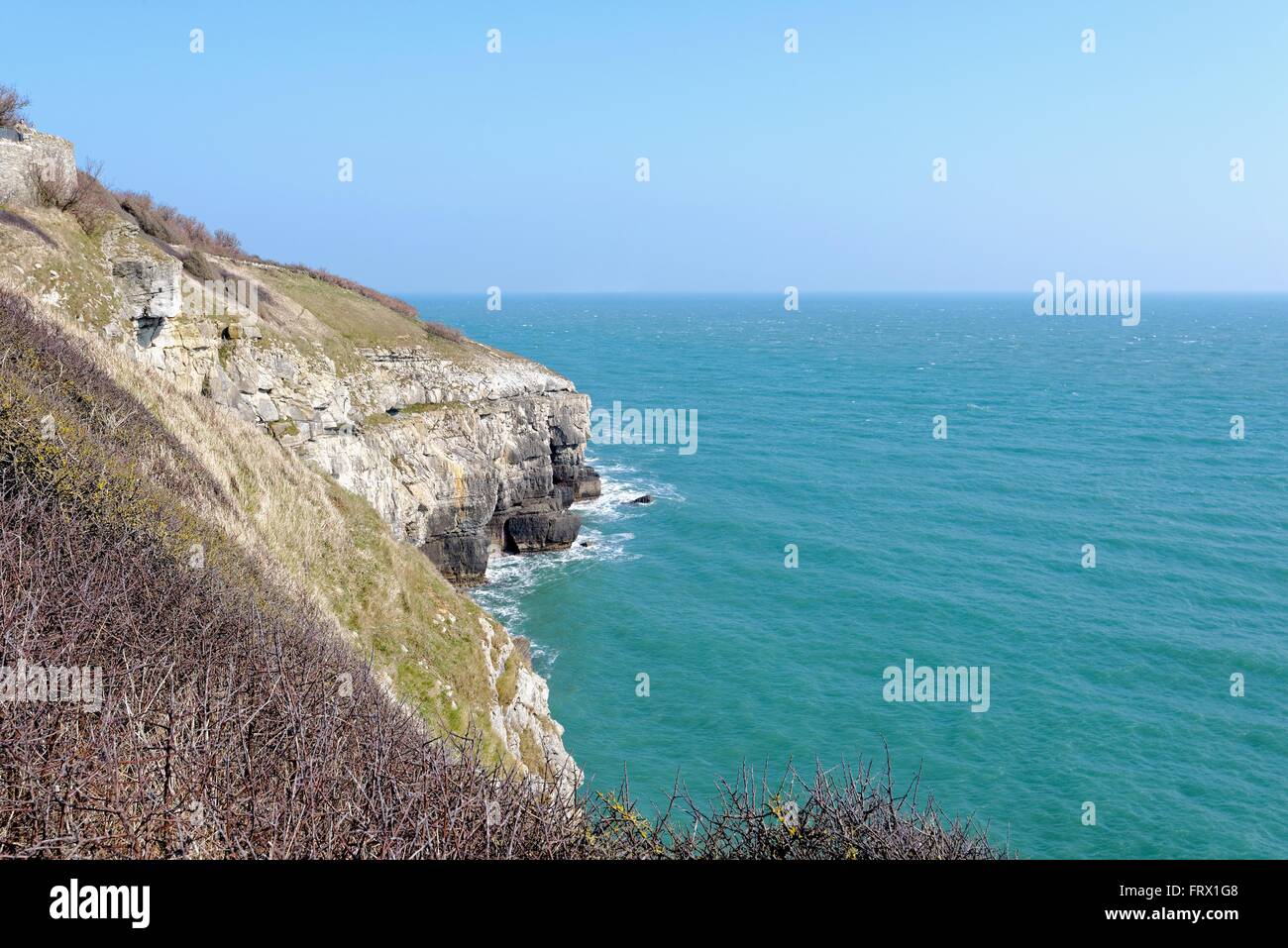 Durlston Head Swanage Dorset UK Stock Photo - Alamy