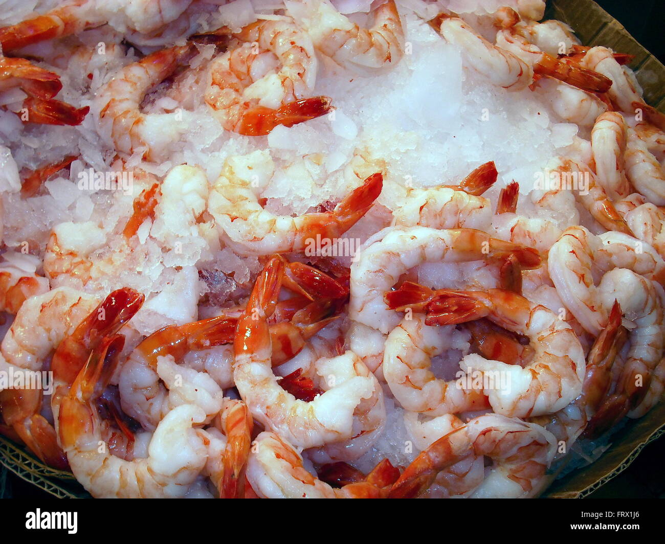Caught shrimp hi-res stock photography and images - Alamy
