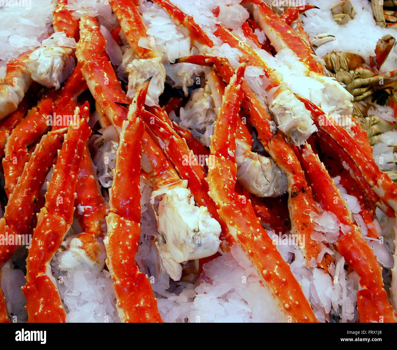 Fresh caught crab Stock Photo - Alamy