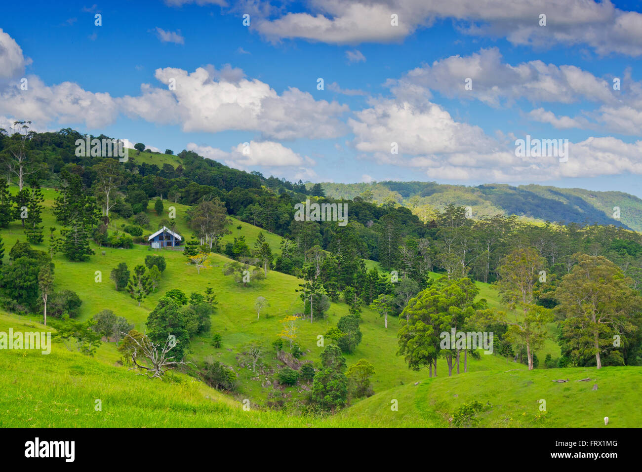 looking south from mount mee Stock Photo - Alamy