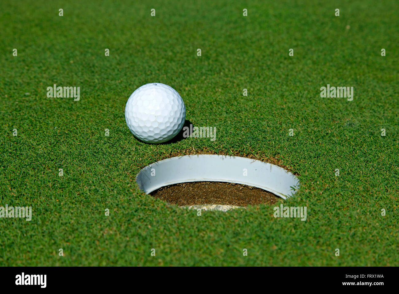 Golf ball on the grass Stock Photo - Alamy
