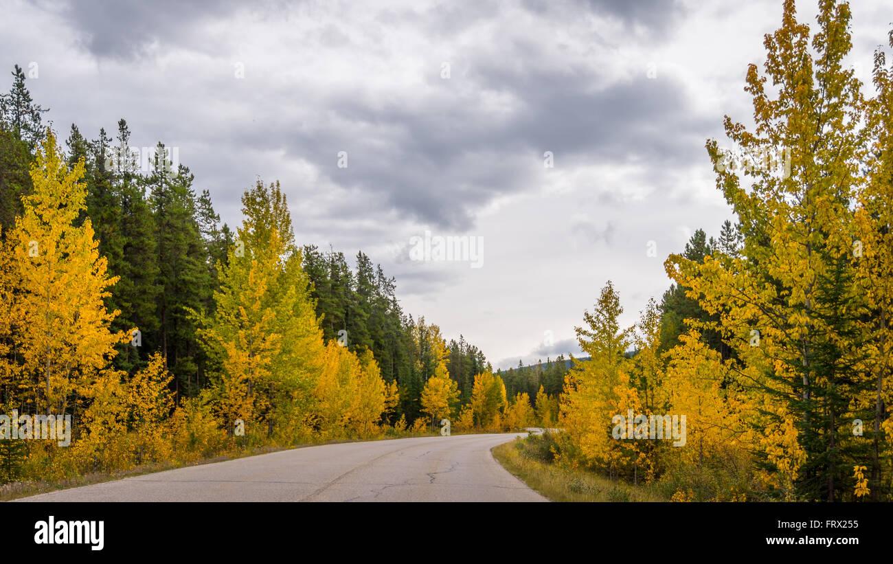 Fall colors in Jasper National Park in the Canadian Rocky Mountains on ...