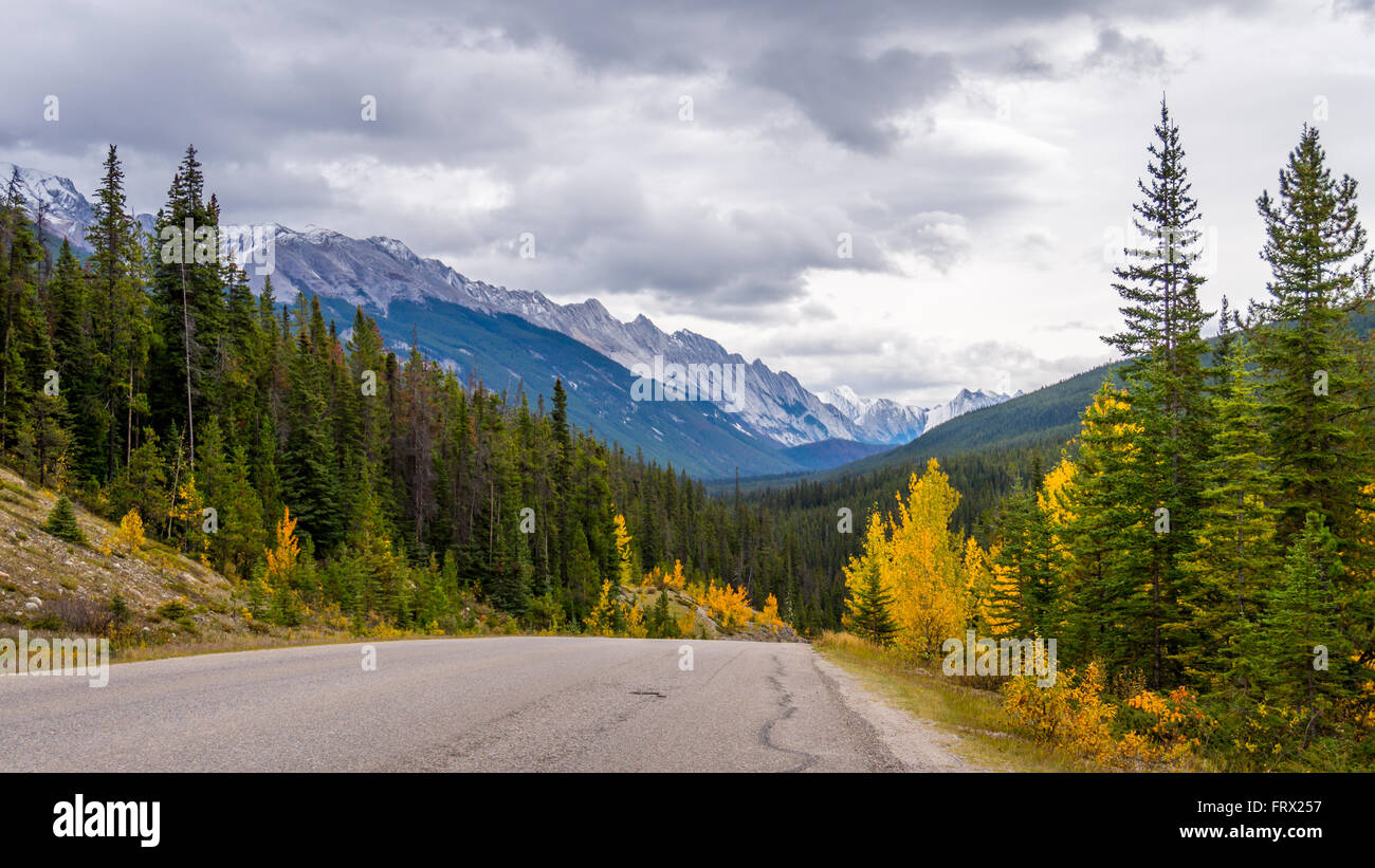 Fall colors in Jasper National Park in the Canadian Rocky Mountains on ...