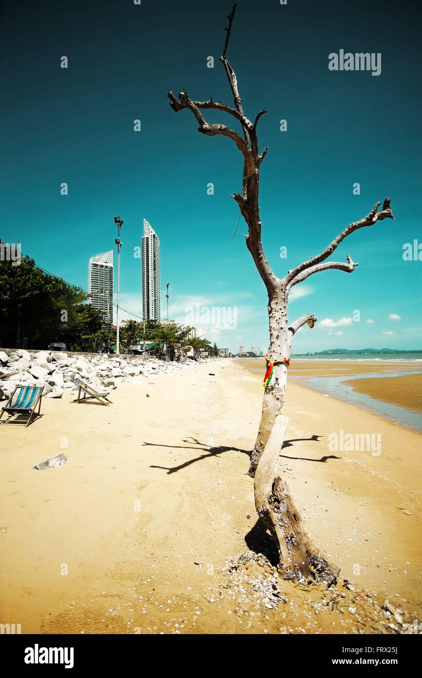 Dead tree sculpture hi-res stock photography and images - Alamy