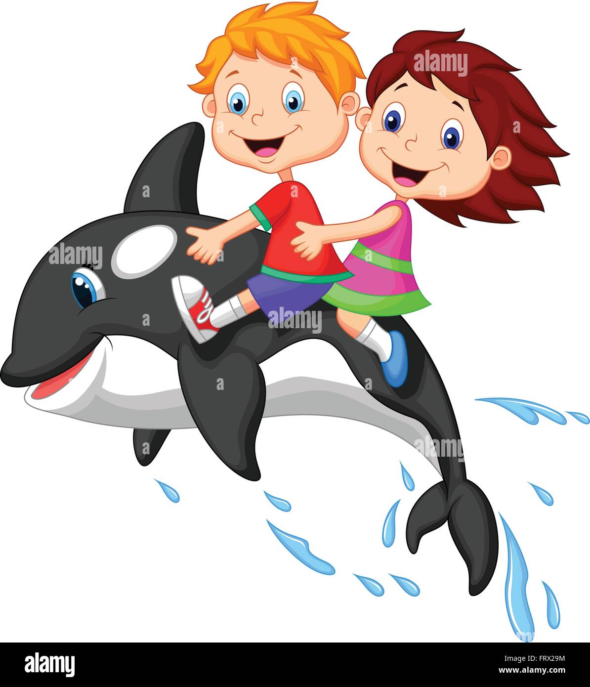 Male Killer Whale Stock Vector Images - Alamy