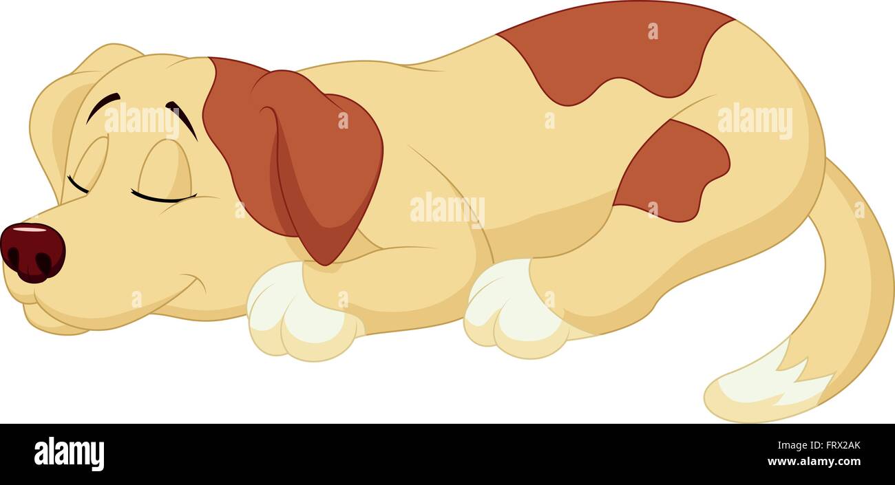 Cute dog cartoon sleeping Stock Vector Image & Art - Alamy