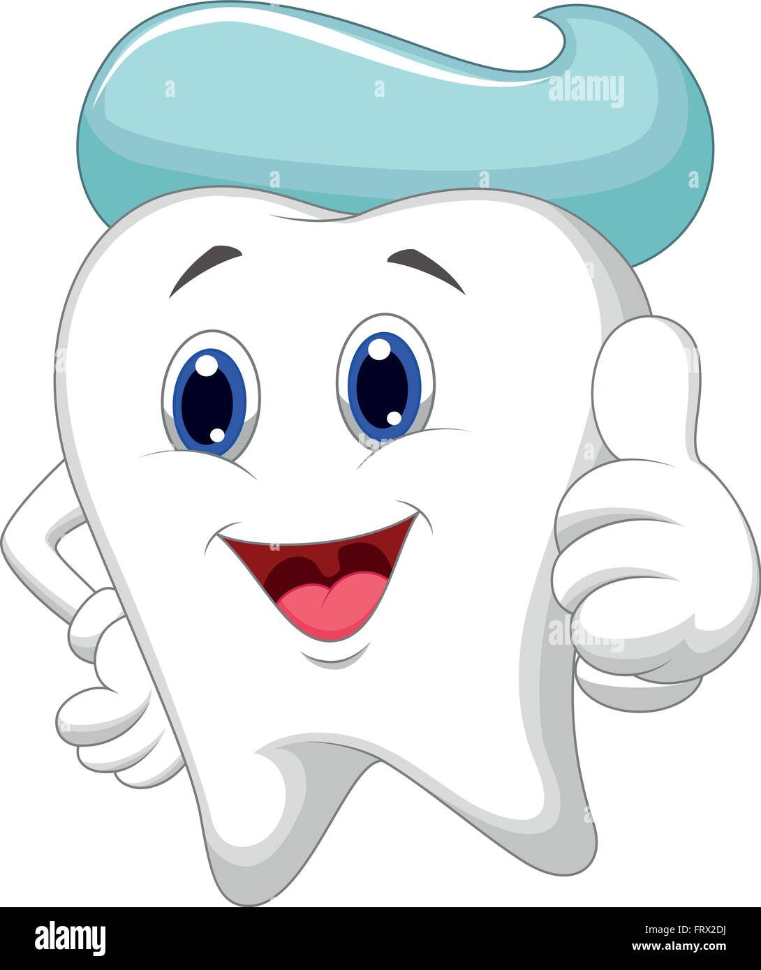 Signal toothpaste hi-res stock photography and images - Alamy