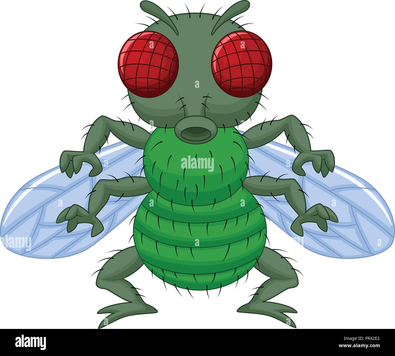 Cartoon illustration funny fly housefly hi-res stock photography and ...