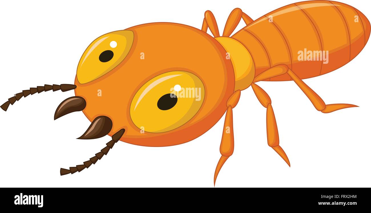 Brown termite Stock Vector Images - Alamy