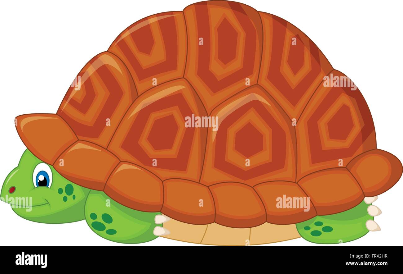 Tortoiseshell Stock Vector Images - Alamy