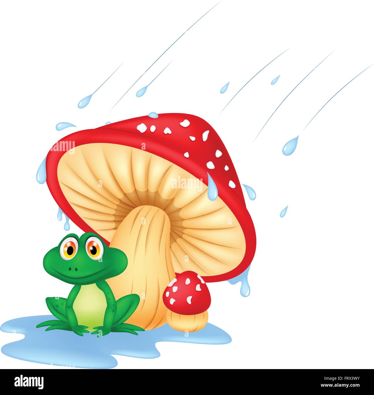 Illustration of mushroom with a toad Stock Vector Image & Art - Alamy