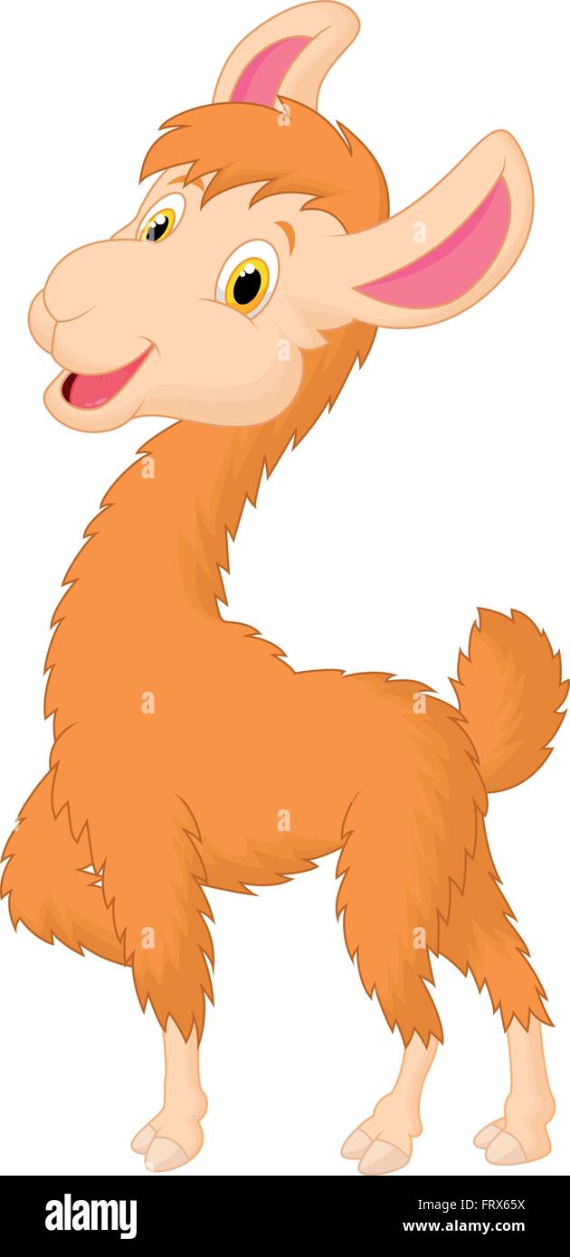 Cute llama cartoon Stock Vector Image & Art - Alamy