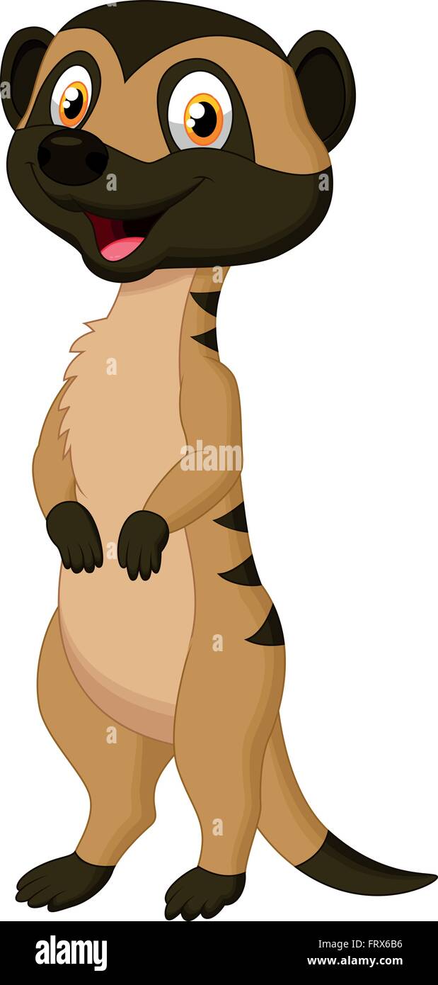 Cute meerkat cartoon Stock Vector Image & Art - Alamy