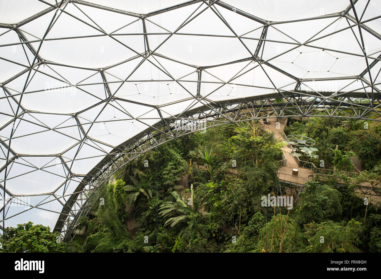 A view of the rainforest, Eden Project Stock Photo - Alamy