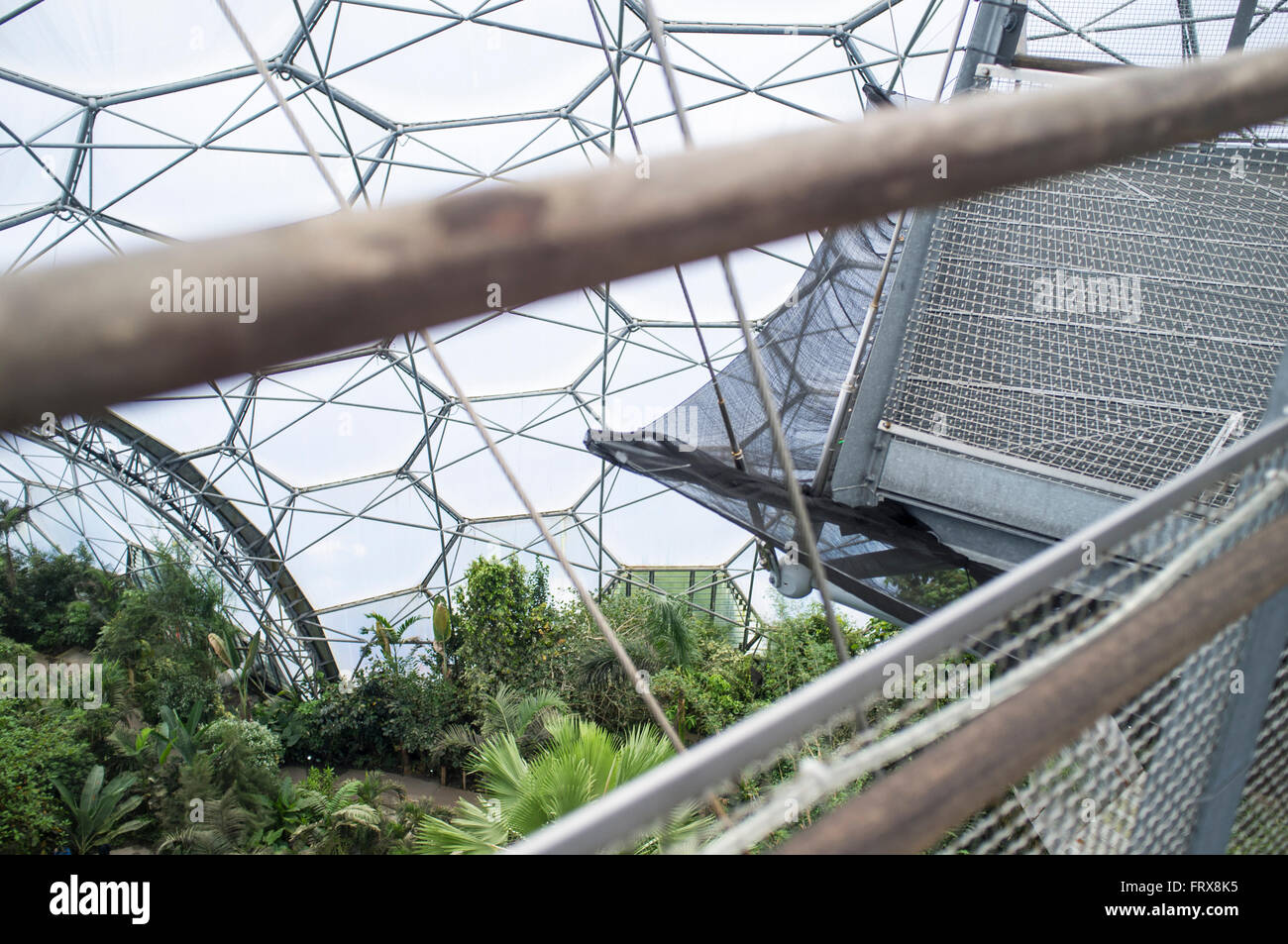 The Lookout, Eden Project Stock Photo - Alamy