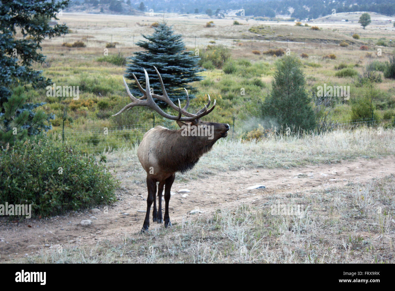 Blowing Off Steam Stock Photo - Alamy