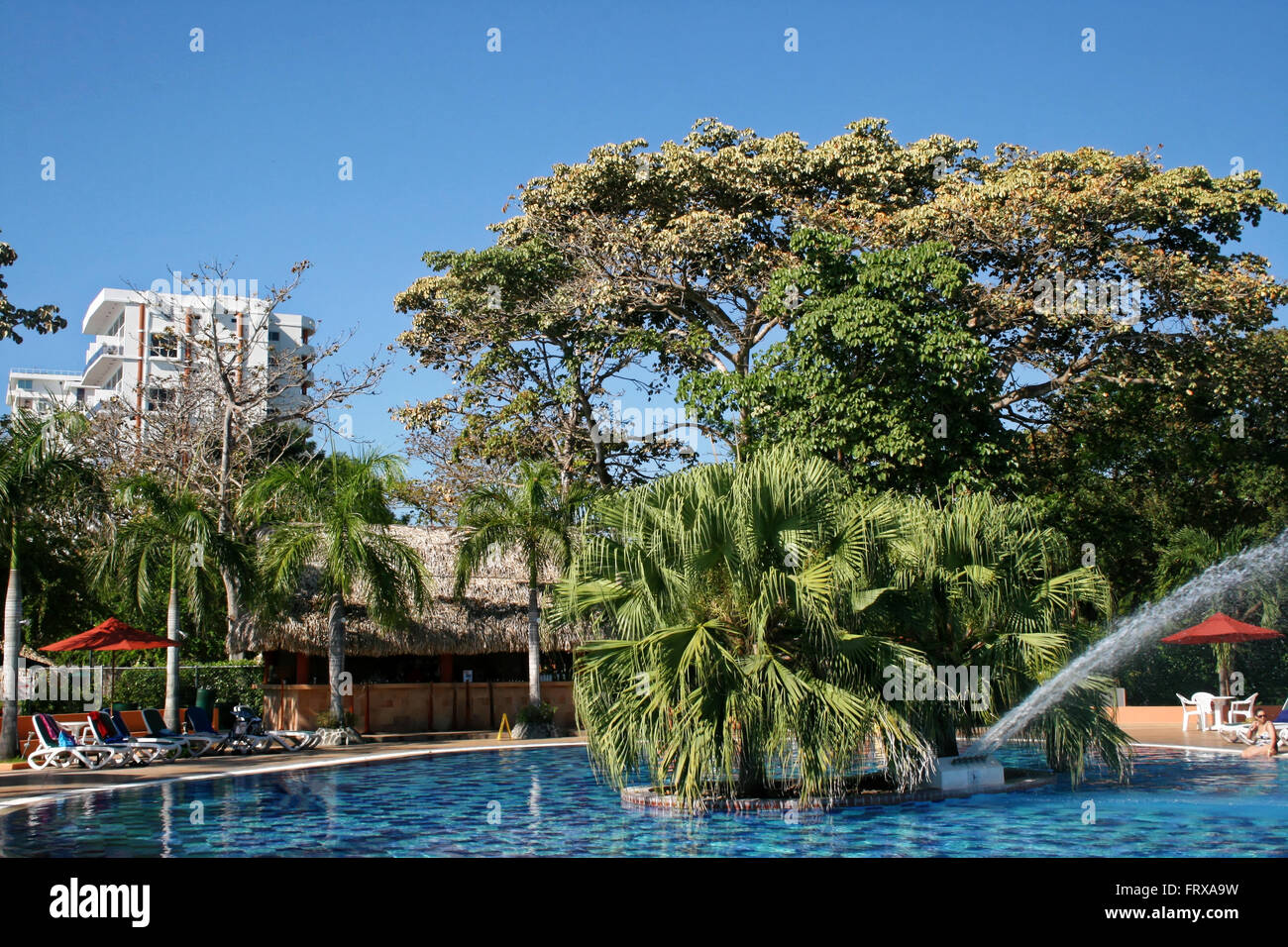 Pool with shooting water fountain and palm trees at Decameron resort in ...