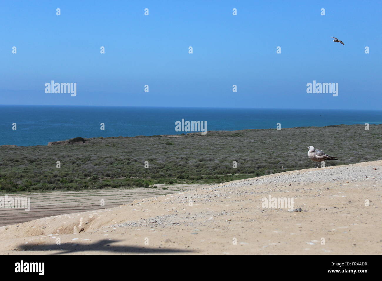 Soar into flight hi-res stock photography and images - Alamy