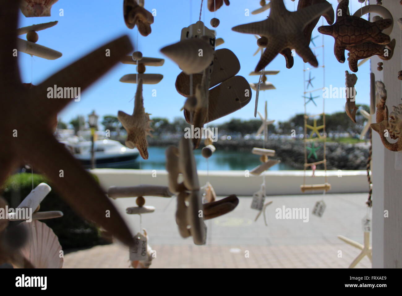 Which She Sells Stock Photos & Which She Sells Stock Images - Alamy