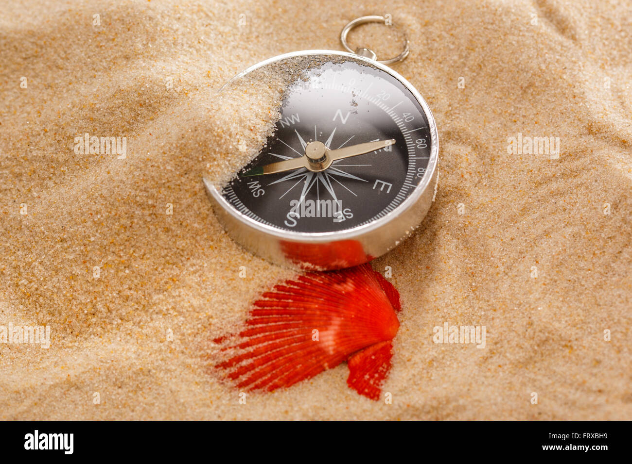 Black compass and sea shell in sand closeup Stock Photo - Alamy