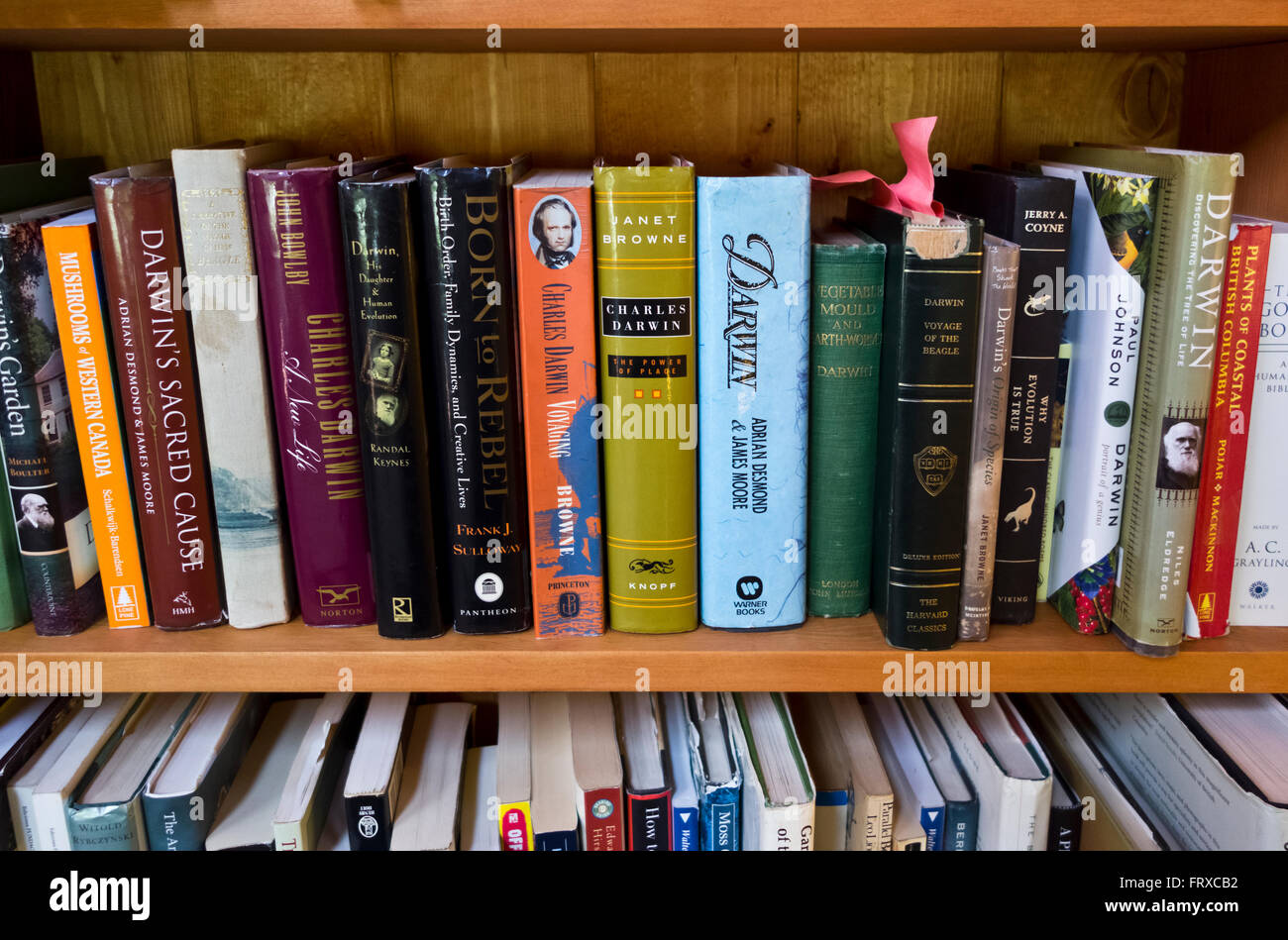 Bookshelf with books about and by Charles Darwin and his theory of ...