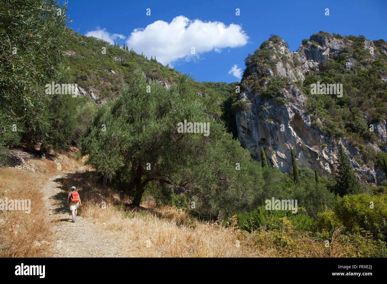 Woman hiking along the path from Paleokastritsa to Lakones, Corfu ...